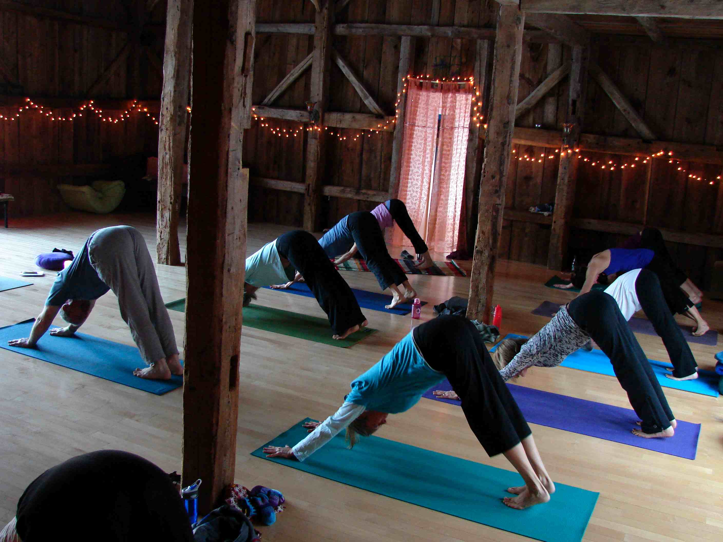 Yoga for Beginners – Dragonfly Yoga Barn, Studio & Retreat
